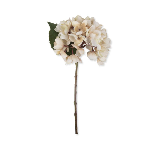 HYDRANGEA MORNING MIST STEM – Terramaniashop