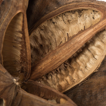 Faux Plants & Botanicals – Terramaniashop